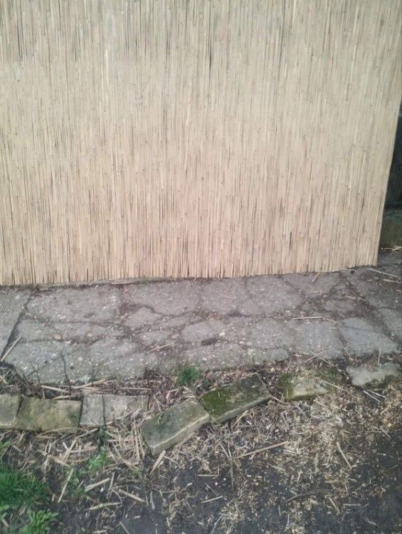 Pletena trska | Gradjevina - Gradjevinski materijal (ponuda)