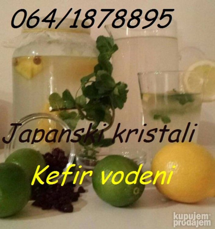 Kefir vodeni - Japanski kristali | Požarevac Info